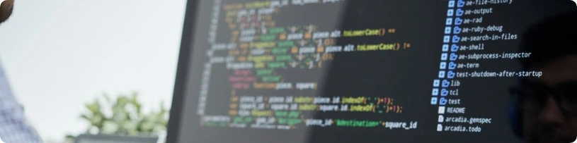 Custom Software Development Services | What We Do | Telliant